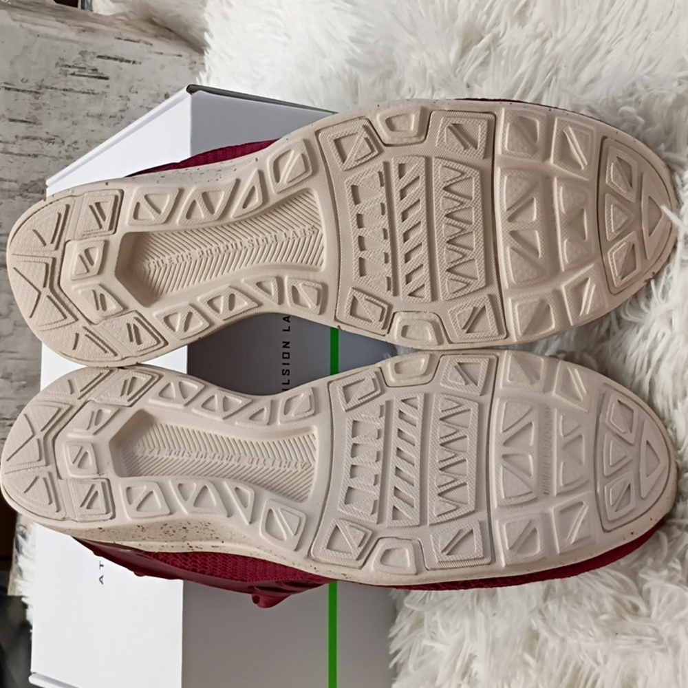 APL | Shoes | Apl Athletic Propulsion Labs Techloom Tracer Slip On ...
